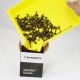 Easy-Sifter Small Parts Sorting Tray Set|McFeelys